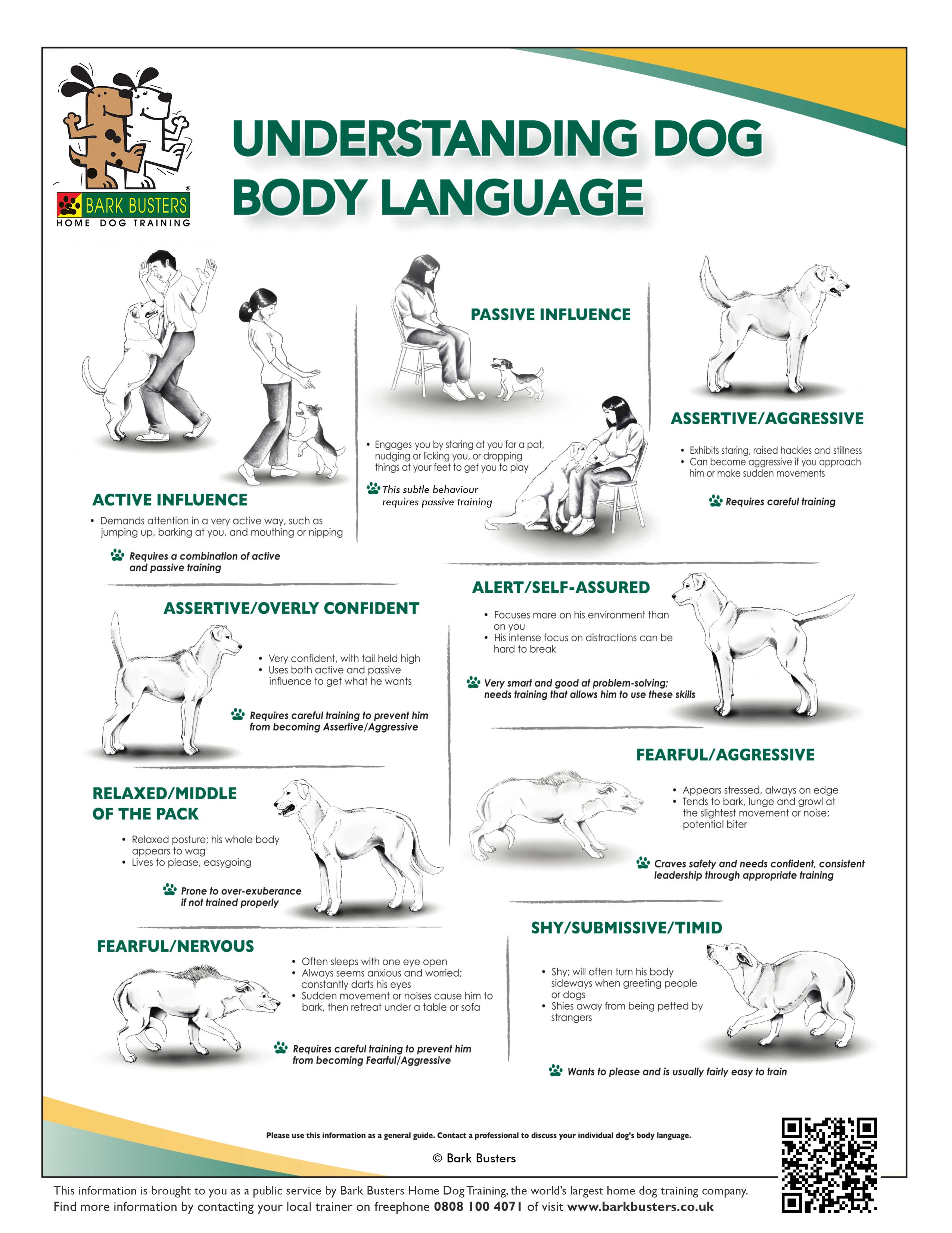 Understanding Dog Body Language: Dog Training - Latest News Understanding Dog Body Language: Dog Training - Latest News